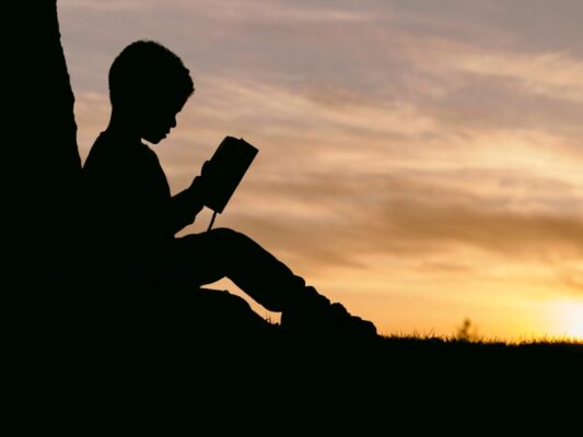 The Gifts of the Dyslexic Mind: Practical Strategies (Video)